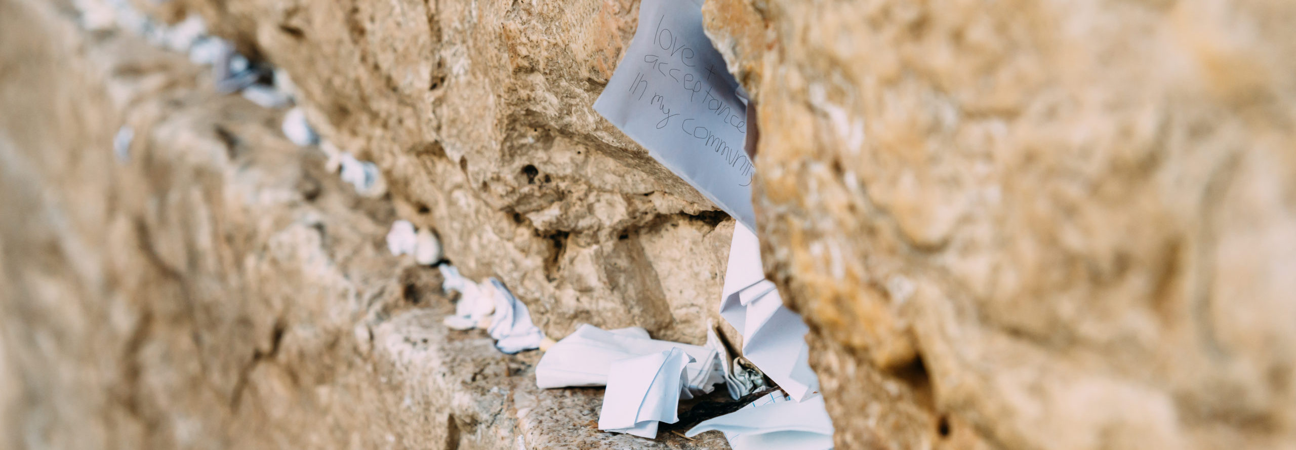 Gap Year Support - JQY